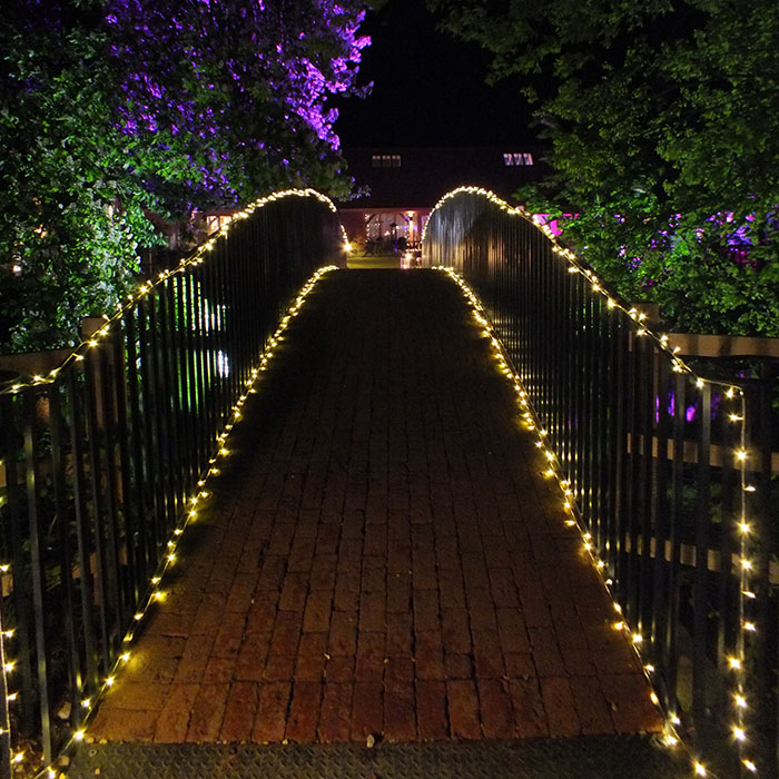 Strobe Disco Roadshow - Fairy lighting